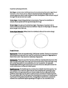 Protists And Fungi Lab By Jamie Moderhack TPT