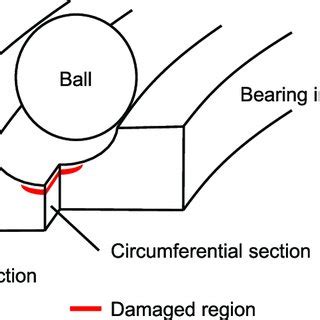 Schematic Of A Bearing Inner Ring Showing Its Axial And Circumferential