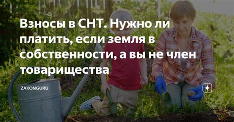 Взносы в СНТ Нужно ли платить если земля в собственности а вы не член товарищества