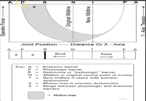 Somatic Dysfunction In Medicine Terminology And Key Concepts Flashcards Quizlet