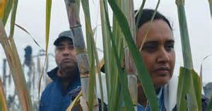 José Luis Guerín Compone Un Retrato Del Barrio Periférico De Vallbona