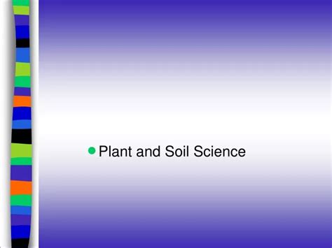 PPT Exploring Photosynthesis Plant Energy Transformation PowerPoint Presentation ID