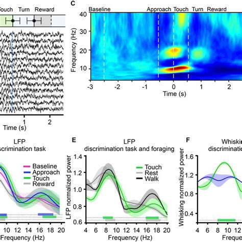 Side Texture Associations Of The Tactile Discrimination Task