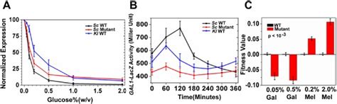 Glucose Repression And Fitness Analysisa Reporter Strains Were