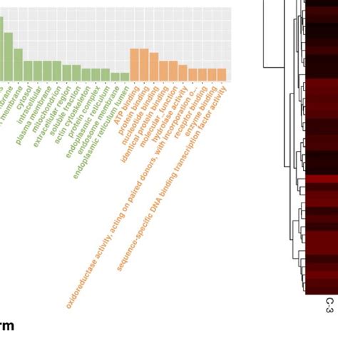 Target Confirmation By Cetsa And Inhibitor Analysis A C Cetsa Of Download Scientific Diagram