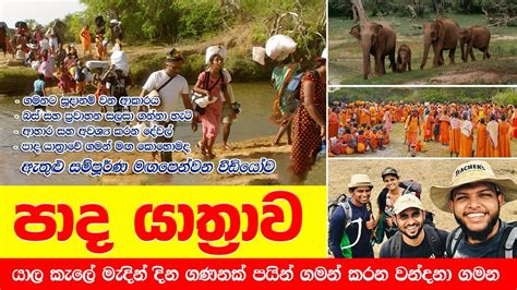 පාද යාත්‍රා සියලුම විස්තර සහ වීඩියෝ සමඟින් හරියට පාද යාත්‍රාව යන ආකාරය කතරගම පාද යාත්‍රාව