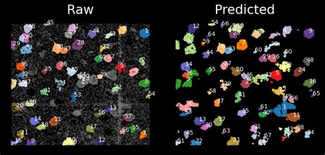 Visualize Cell Segmentation Performance — Bering Documentation