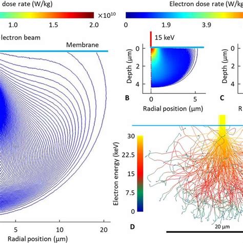 Electron Beam Dose Rates The Spatial Distribution Of Dose Rate Is A