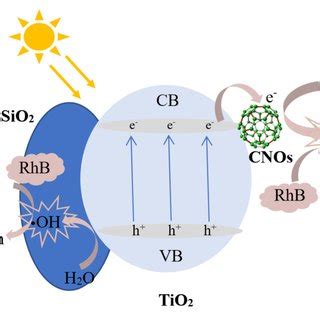 The Mechanism Diagram Of Sio Cnos Tio In The Degradation Of Dyes Download Scientific