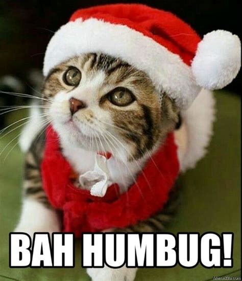 Bah Humbug Memes