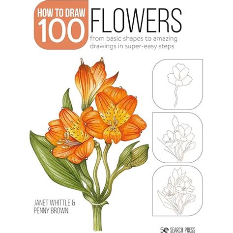 How To Draw A Flower In Java