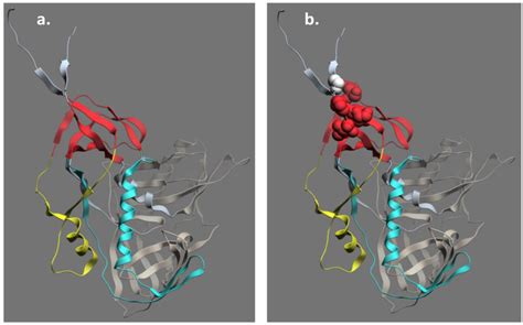Viruses Special Issue Viral Glycoprotein Structure