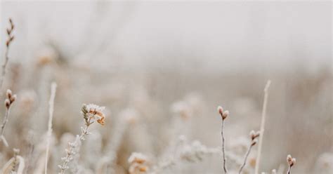 The Metrics That Matter Kpis For Effective Vulnerability Management