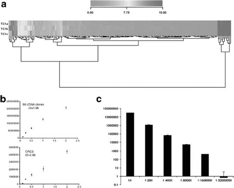 Expression Profile Distribution And Linearity Following Tc Rna