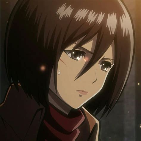 Mikasa Ackerman Attack On Titan