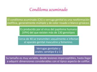 Vph Condilomas Acuminados Causas Síntomas Y Tratamiento Ppt