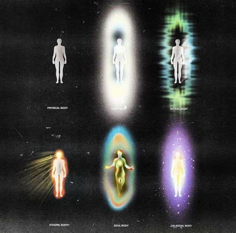 Human Energy Field Illustration Energy Aura Etheric Bodies Etheric Body