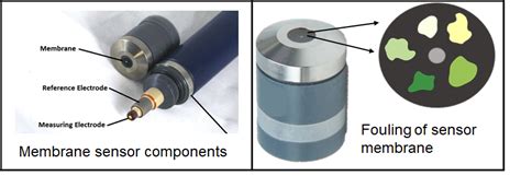 Membrane Sensors For Disinfection Measurements Kuntze Instruments Gmbh