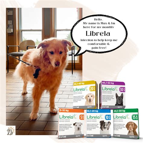 Hello My Name Is Max And Im Here For My Monthly Librela Injection To