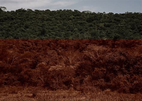 5 Minutes Photographs By Rebeca Binda Essay By Joanna L Cresswell