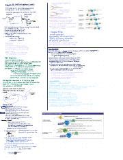 Understanding DNA Structure And Replication A Comprehensive Course Hero