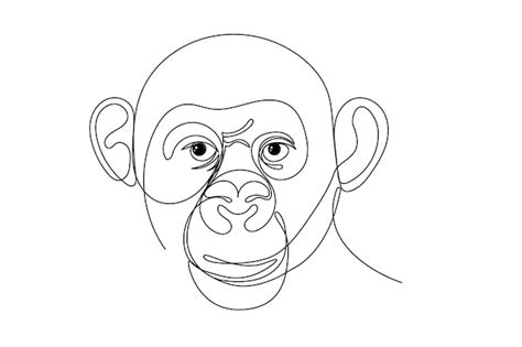 Premium Vector Squirrel Forest Line Art Portrait Funny Cute Animal