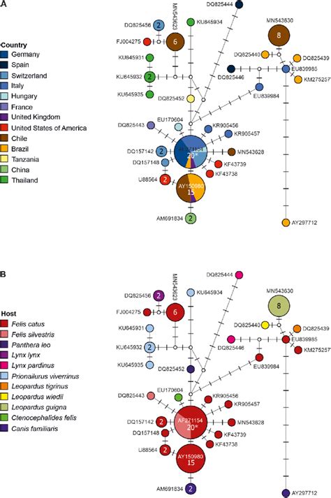 Median Joining Haplotype Network Of The 16 S Rrna Sequences 983