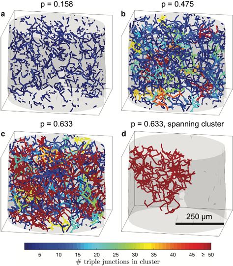 Figure 1 From The Evolution Of Intergranular Networks During Grain Growth And Its Effect On