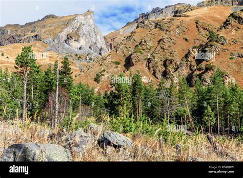 Kabardino balkarian hi-res stock photography and images - Alamy