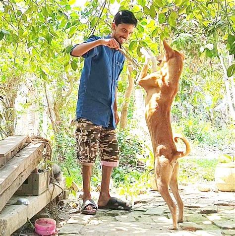 আনন্দে ভরা এক অনুষ্ঠান বাড়ি— সবার মুখে হাসি আলো গান আর গল্প। কিন্তু সেই মুহূর্তে হঠাৎই একটি