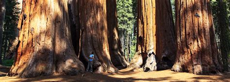Northern California Exploring The Great Outdoors Audley Travel Us