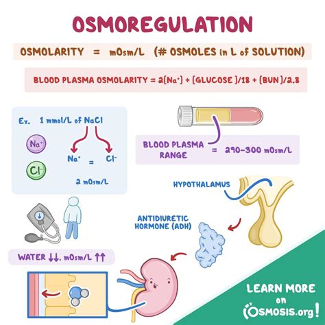 Osmosis From Elsevier Updated Osmosis From Elsevier