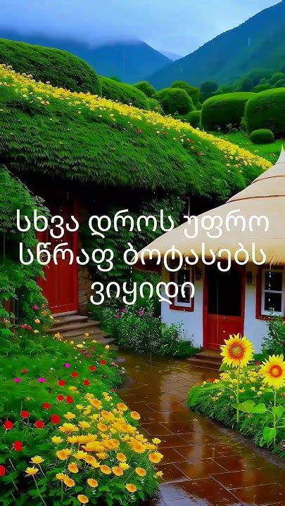 კურდღელი Youtube