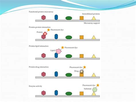 2d Mass Spectrometry And Microarray Techniques Ppt