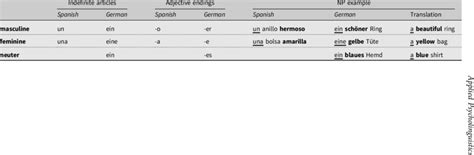 Indefinite Article Forms And Attributive Adjective Endings In