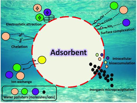Adsorption Process 우수 연구 새로운 흡착 수처리 공정
