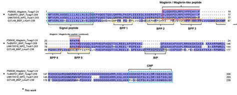 multiple sequence alignment and annotation of protein coding regions in