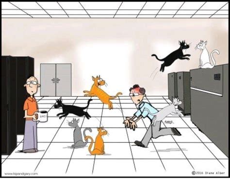 Shafei Gad Auf Linkedin Datacenter Datacenterfacility Datacenters