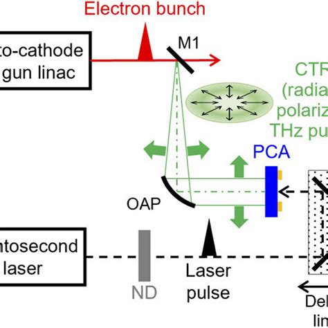 schematic diagram of time domain measurement of ctr using the download scientific diagram
