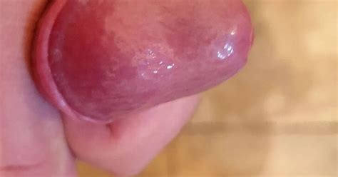 Gato Sex Pissing On The Floor Faphouse