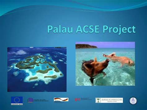 Ppt Problem Tree Less For Health Education Etc Unhealthy Reef