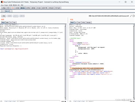 网鼎杯 2020 朱雀组 Phpweb1 Csdn博客 网鼎杯 2020 朱雀组 Phpweb1 Csdn博客