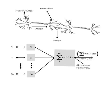 Makine Öğrenmesi Modelleri Yapay Sinir Ağları Ysa Ile Yenilikçi Çözümler By Bartuğ Sevindik