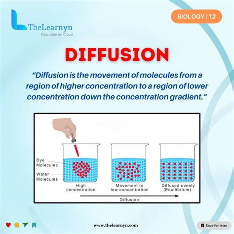 Diffusion Simple
