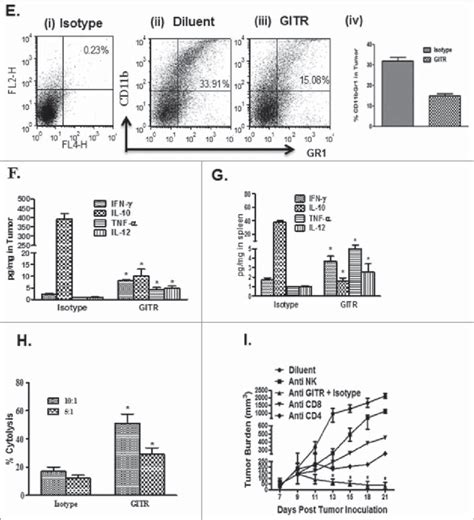 See Previous Page Anti Gitr Agonistic Antibody Treatment Increased Download Scientific