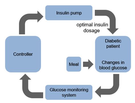 Design Controller For Artificial Pancreas Using Fuzzy Logic Matlab And Simulink