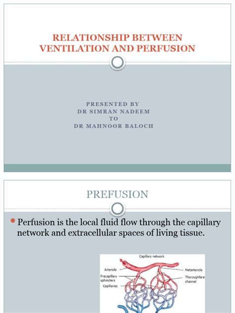 Relationship Between Ventilation And Perfusion Pdf