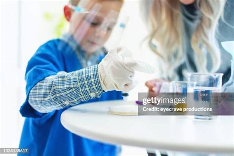 Pre Stem Photos And Premium High Res Pictures Getty Images
