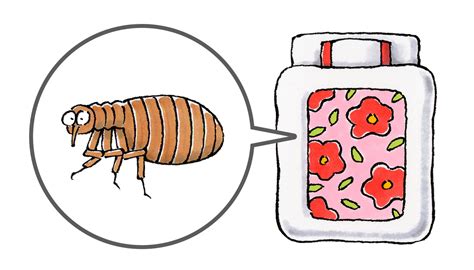 布団にノミが発生したらどうする？対策や駆除方法を紹介 大洋防疫ブログ