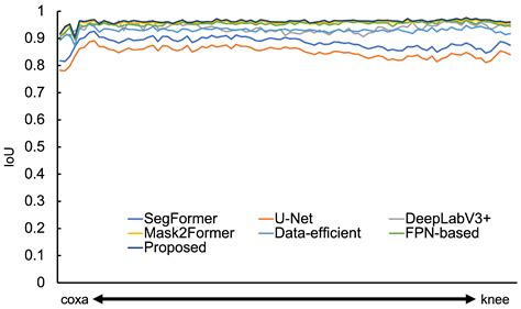 Data Efficient Bone Segmentation Using Feature Pyramid Based Segformer